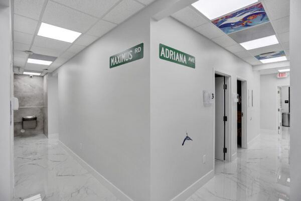 Sunset | Premium Healthcare